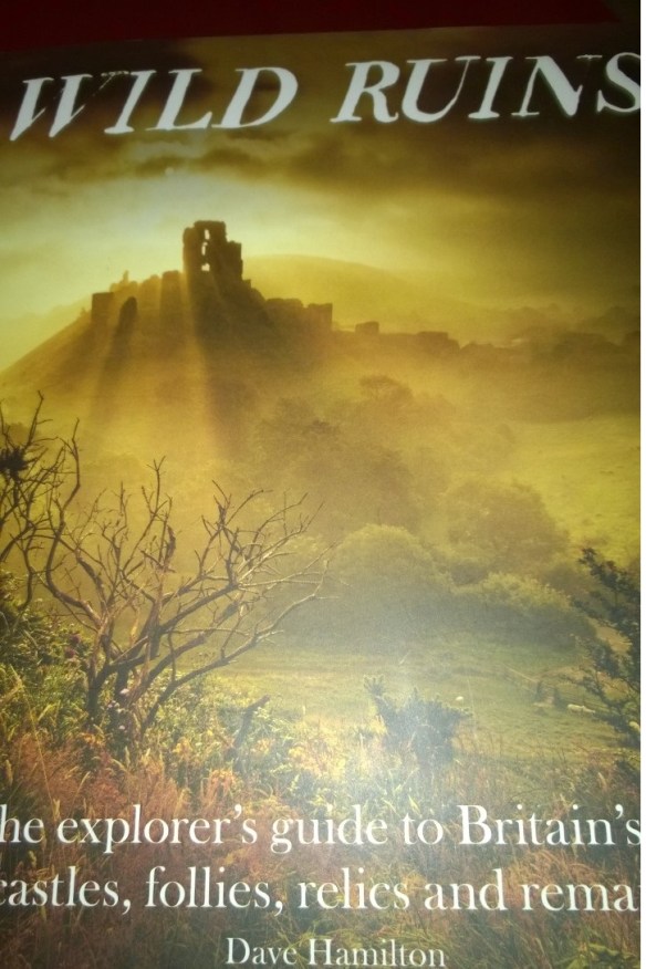 #BookReview – Wild Ruins by Dave Hamilton | Suzanne Rogerson Fantasy Author